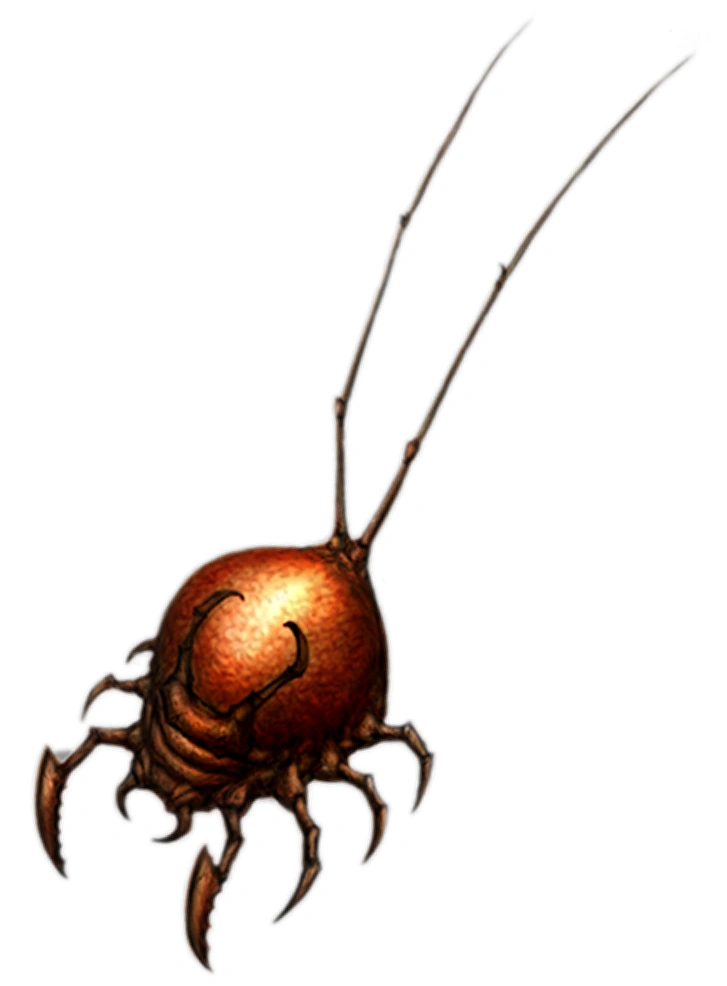 Category:Burrower Family | Wikitroid | Fandom