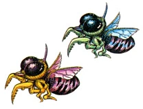 Zebbo | Wikitroid | Fandom