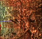 Arenisca | Metroidover | Fandom