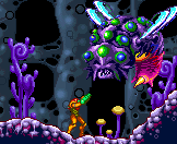 Imago | Wikitroid | Fandom