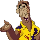 MeTV Toons Broadcast Archives Wiki | Fandom