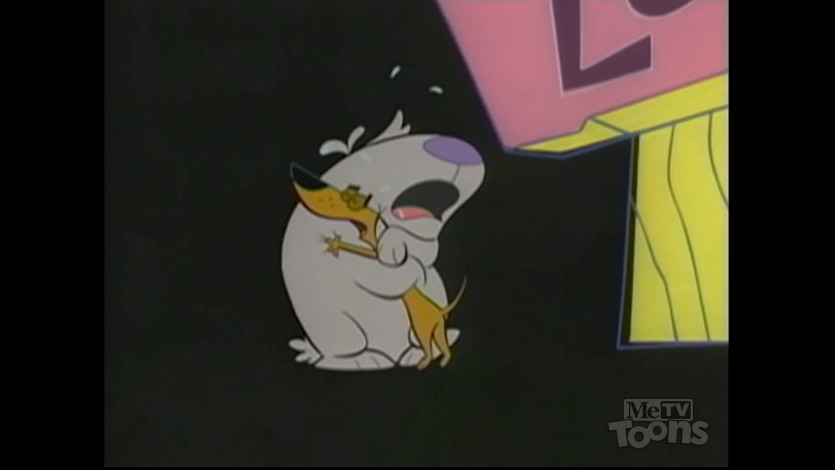 March 16 2025 Metv Toons Broadcast Archives Wiki Fandom