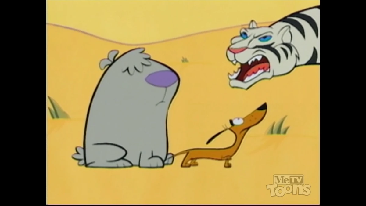 May 11, 2025 | MeTV Toons Broadcast Archives Wiki | Fandom