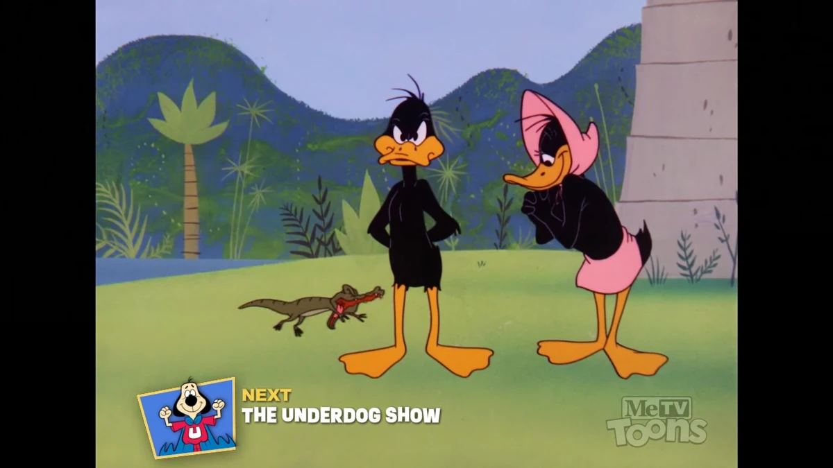 August 21, 2024 | MeTV Toons Broadcast Archives Wiki | Fandom