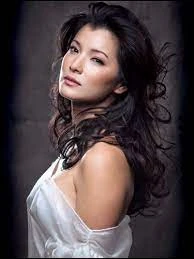 Kelly Hu | Wiki Meu Universo de Filmes & Séries | Fandom