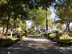 Apodaca | Méxicoteca | Fandom