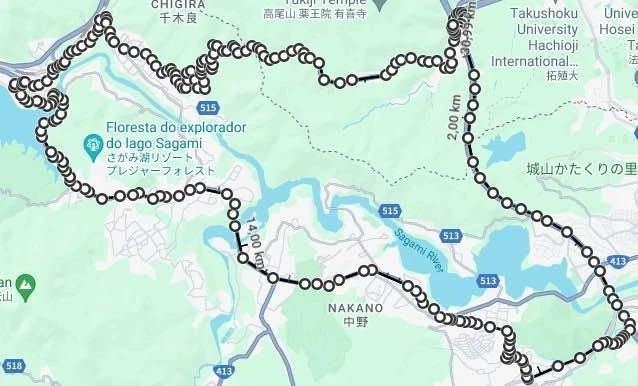 Sagami Jungle Corridor | MFG: Paradox Turn Wiki | Fandom