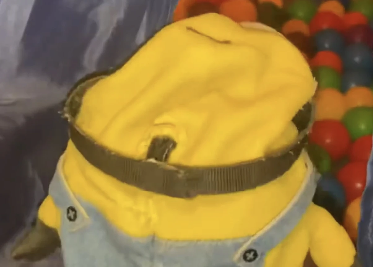 Bob Jr. | MG Plush Movies & Shorts Wiki | Fandom