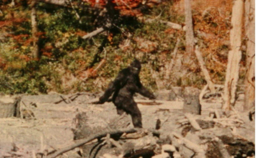 AUB-003 - "Bigfoot" | MGHC Documentations Wiki | Fandom