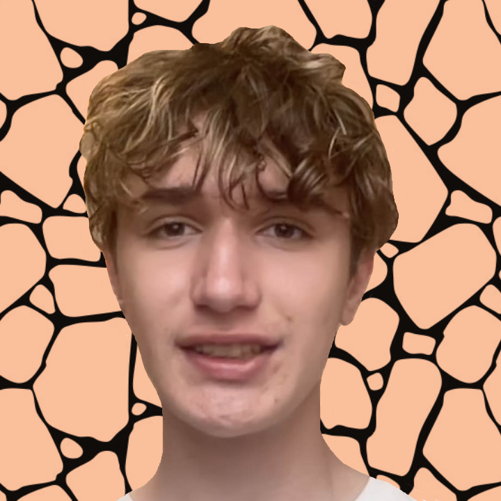 Pineapplefromgalaxy1 Mgl Wiki Fandom