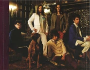 Congratulations | MGMT Wiki | Fandom