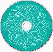 Congratulations | MGMT Wiki | Fandom