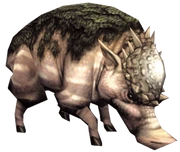 Mosswine | Monster Hunter Frontier (Korean) Wiki | Fandom