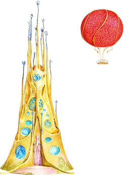 Elf Palace | Mia and Me Wiki | Fandom