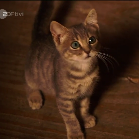 Mimi | Mia and me Wiki | Fandom