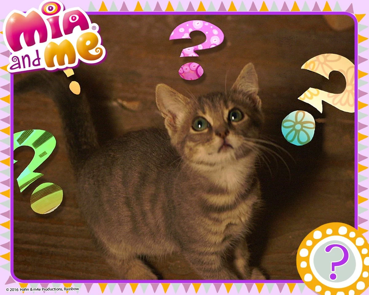 Mimi | Mia and Me Wiki | Fandom