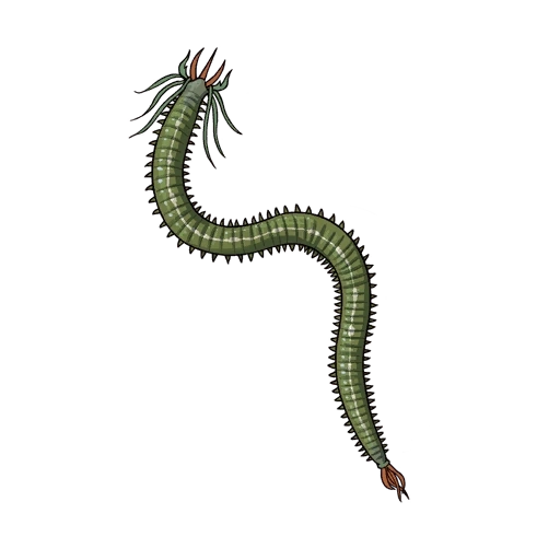 Lugworm | Made In Abyss: Binary Star Falling Into Darkness Wiki | Fandom