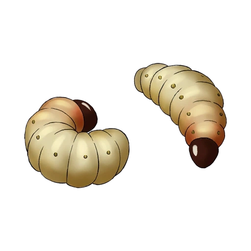 Bug Meat | Made In Abyss: Binary Star Falling Into Darkness Wiki | Fandom