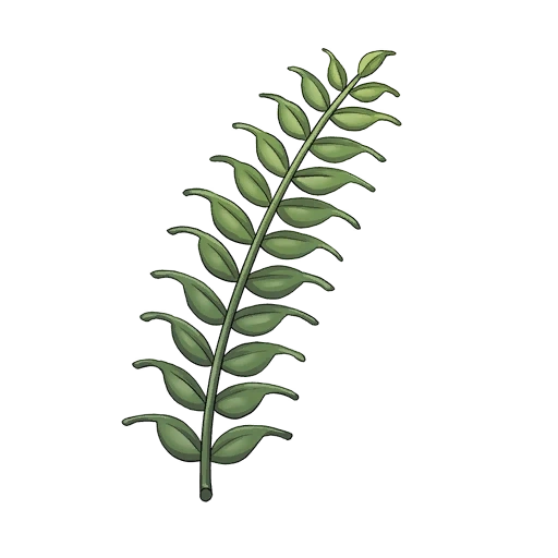 Ouba Leaf | Made In Abyss: Binary Star Falling Into Darkness Wiki | Fandom