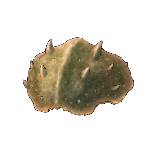 Shellfish Shell | Made In Abyss: Binary Star Falling Into Darkness Wiki ...