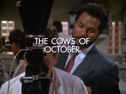 "The Cows of October" | Miami Vice Wiki | Fandom