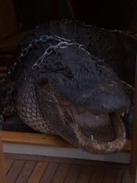 Elvis | Miami Vice Wiki | Fandom