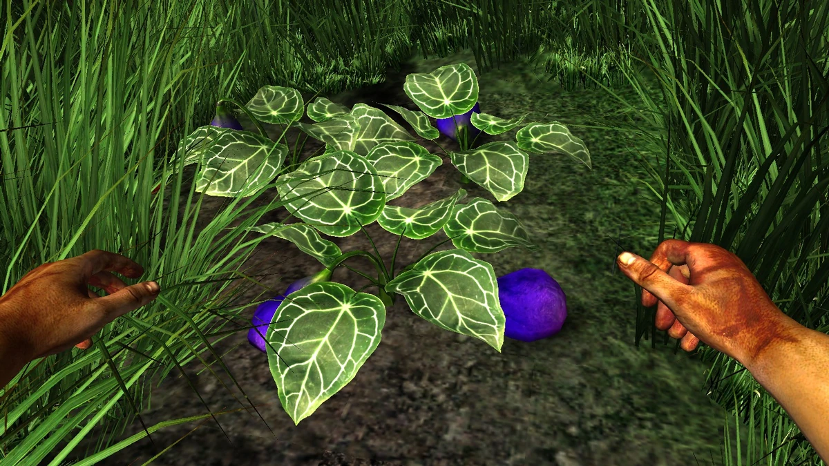 Fleshy Purple Fruit | Miasmata Wiki | Fandom
