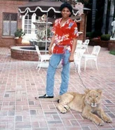 Wylie Draper | Michael Jackson Wiki | Fandom
