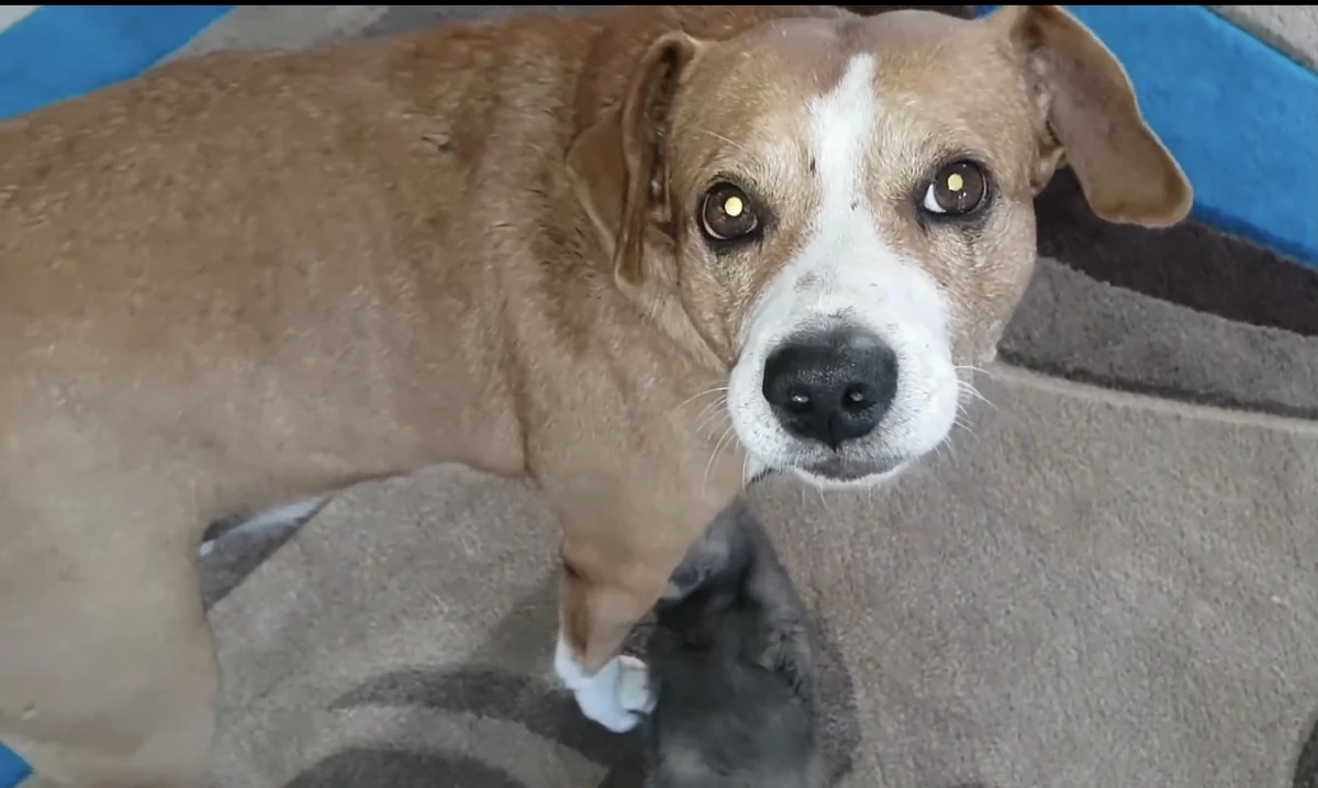 Zack | Michael Jamison Wiki | Fandom