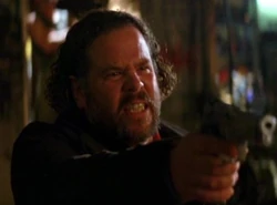 Arnold Flass | Michael Bay: Batman Wiki | Fandom