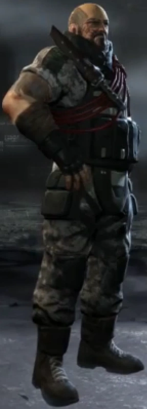 Bird | Michael Bay: Batman Wiki | Fandom