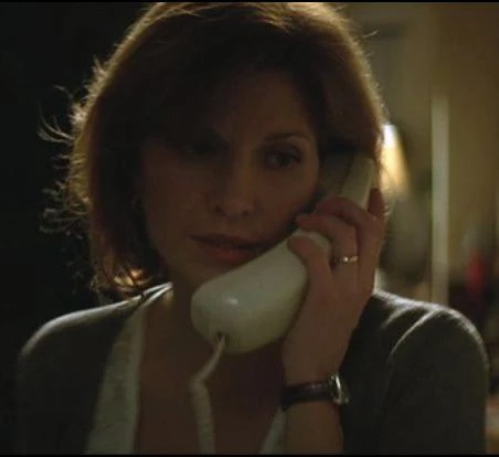 Sarah Gordon | Michael Bay: Batman Wiki | Fandom