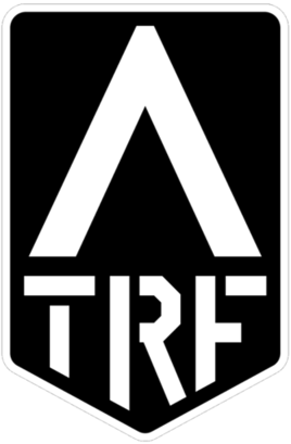 Transformers Reaction Force | Transformers Movie Wiki | Fandom