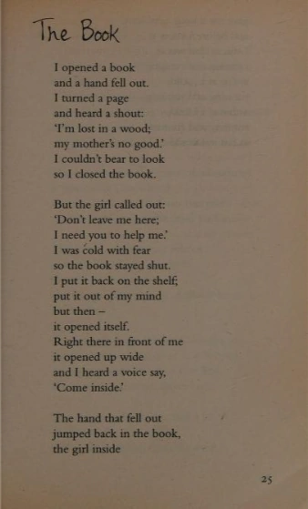 The Book | Plumtopia - The Michael Rosen Wiki | Fandom