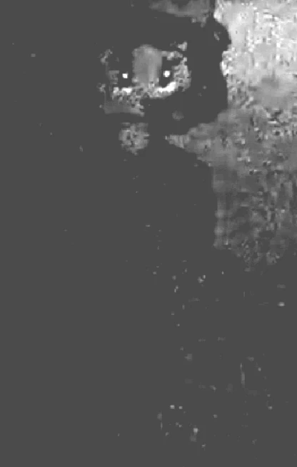 Mieshal | Michael's Basics Wiki | Fandom