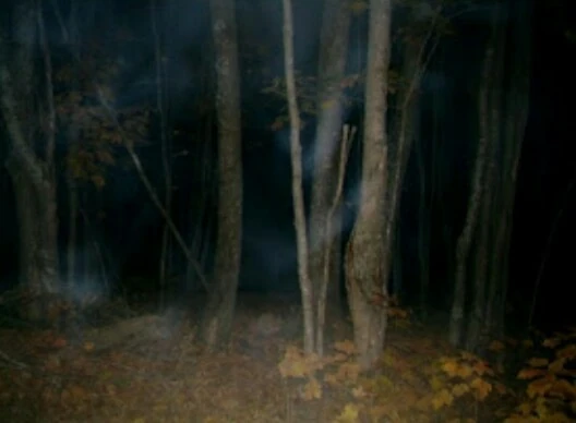 Louis Hill | Upper Peninsula Wiki | Fandom