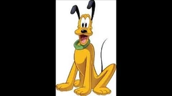 goofy pluto dog