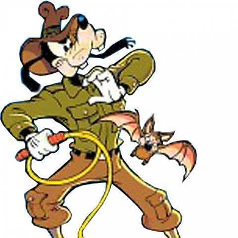 Arizona Goof | Mickey and Friends Wiki | Fandom