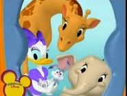 Daisy Duck Mickey Mouse Wiki Fandom