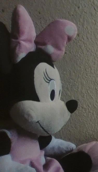 Minnie mouse | MickeyMouseLogan Wiki | Fandom
