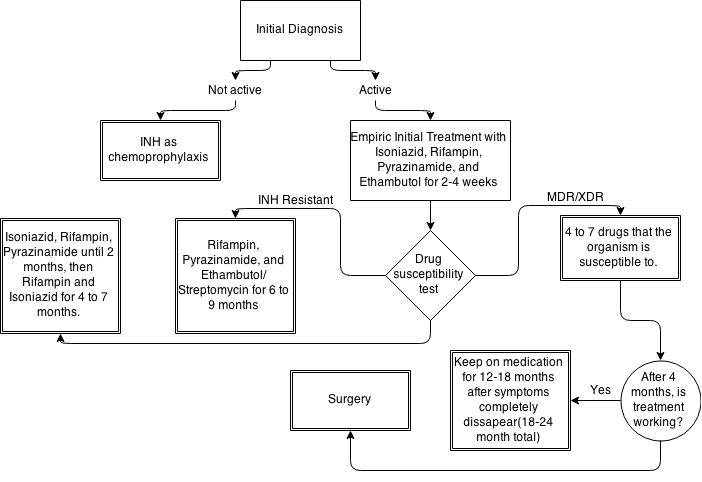 Tuberculosis Treatment Flowchart | Microbiology Wiki | Fandom
