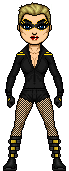 Black Canary (Dinah Lance) (Smallville) | Microheroes-dc Wiki | Fandom