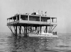 Isla de las Rosas | Enciclopedia de las Micronaciones Wiki | Fandom