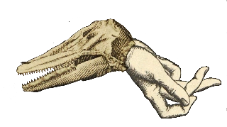 Finger Fish | Middens Wiki | Fandom