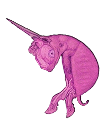 First Born | Middens Wiki | Fandom