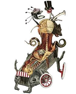 Aym | Middens Wiki | Fandom