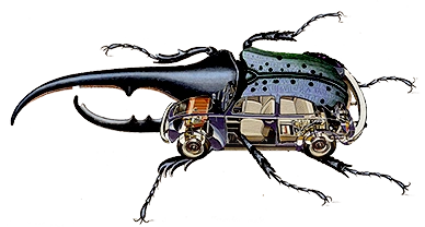 Bettle Interior | Middens Wiki | Fandom