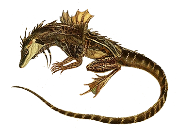 Dusk Dragon | Middens Wiki | Fandom