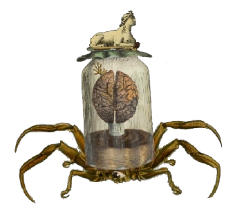 Crabkins | Middens Wiki | Fandom