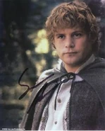 Samwise Gamgee | Middle Earth Film Saga Wikia | Fandom